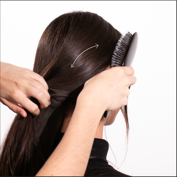 Hair Assessment – Scandinavianbiolabs.com